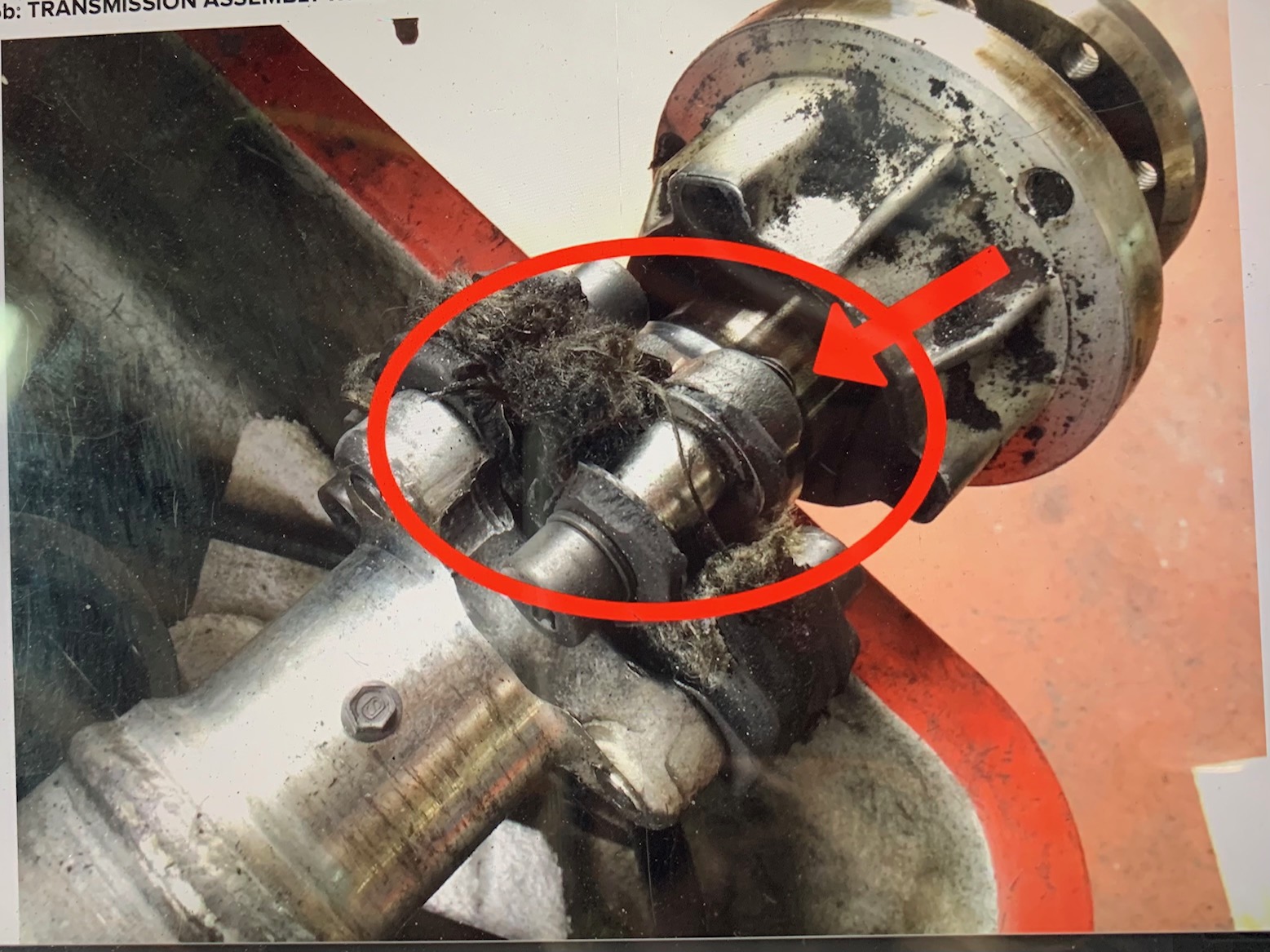 Why are Loud Noises Coming from Under My Car? - American Import Auto